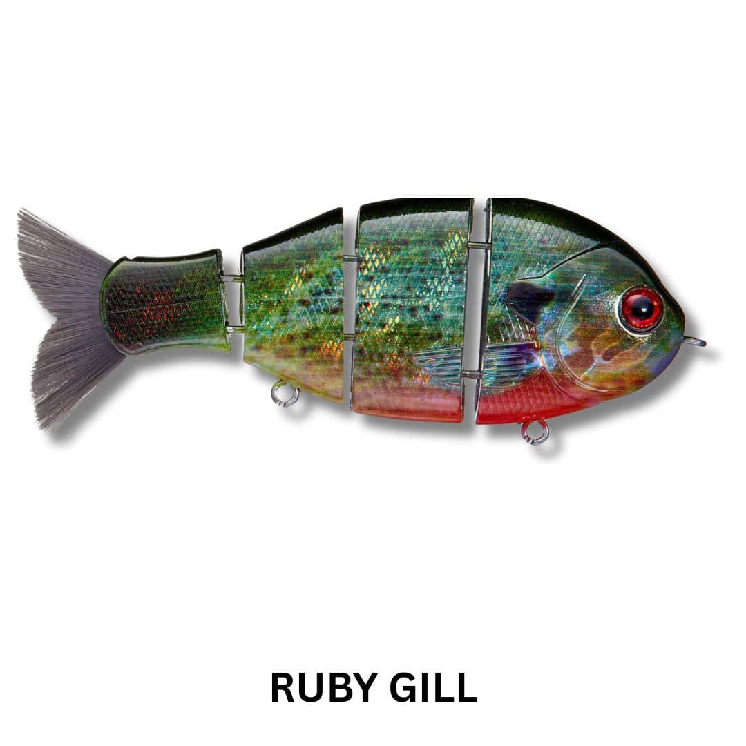 Bucca Baby Bull Gill 3.75" - Sportys Fishing